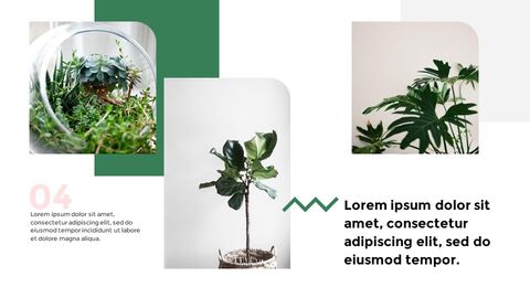 Plants Google Slides Templates for Your Next Presentation