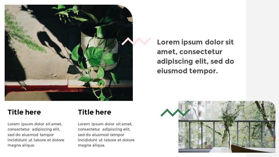 Plants Google Slides Templates for Your Next Presentation