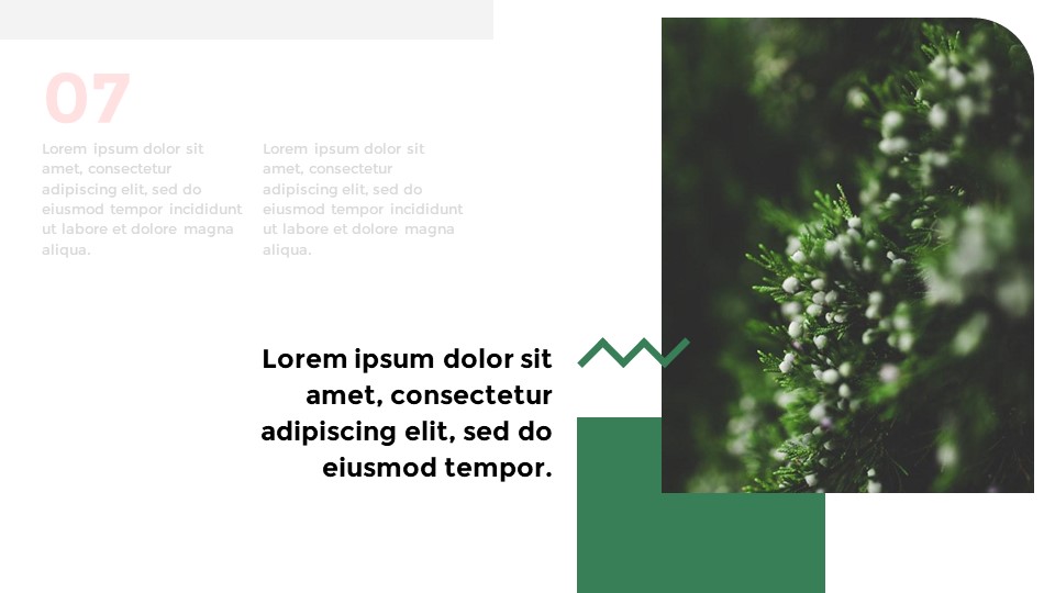 Plants Google Slides Templates for Your Next Presentation