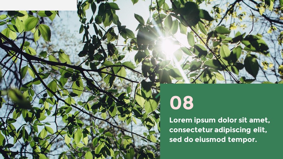 Plants Google Slides Templates for Your Next Presentation