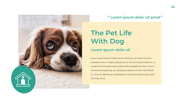 Pet Life Simple PowerPoint Template Design