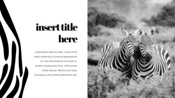 zebra Startup PPT Templates