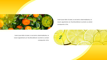 Citrus Templates PPT