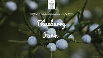 Blueberries Google PowerPoint Presentation