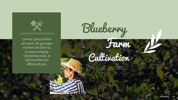 Blueberries Google PowerPoint Presentation