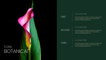 Botanical Background PowerPoint