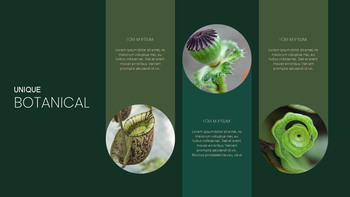 Botanical Background PowerPoint