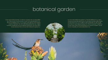 Botanical Background PowerPoint