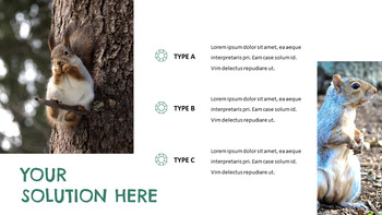 Squirrel Easy Slides Design