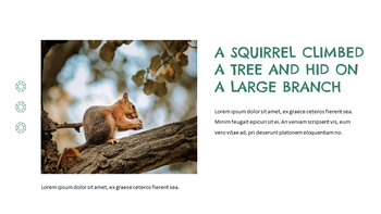 Squirrel PowerPoint Format