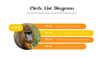 zoo Slide PPT