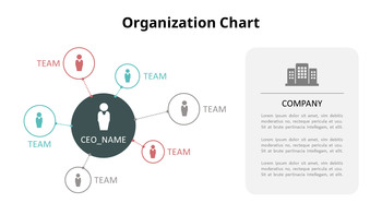 Human Infographic Organizational Chart