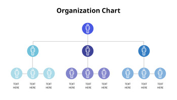Organization Hierarchy Chart