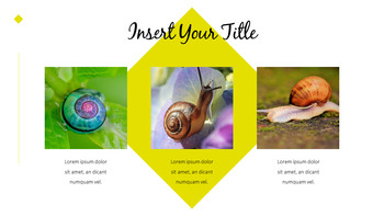 Snail Slide PPT