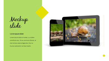 Snail Slide PPT