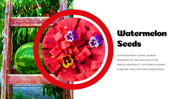 Watermelon Simple PowerPoint Design