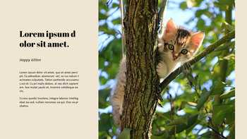 Raise a Cat Presentation