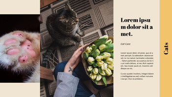 Raise a Cat Presentation