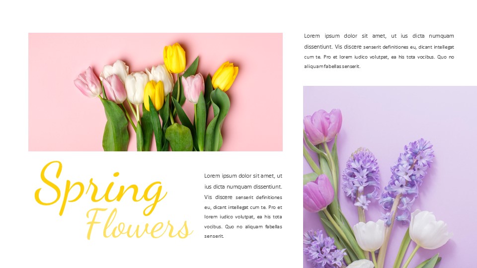 Spring Flowers Google Slides Templates