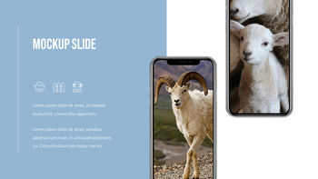 Sheep Best PowerPoint Templates