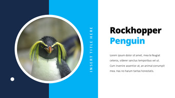 Penguin Presentation PowerPoint Templates Design|Lifestyle