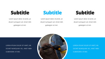 Penguin Presentation PowerPoint Templates Design|Lifestyle