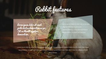Rabbit Business Strategy PPT|Lifestyle|Templates