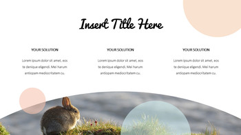 Rabbit Business Strategy PPT|Lifestyle|Templates