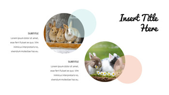 Rabbit Business Strategy PPT|Lifestyle|Templates