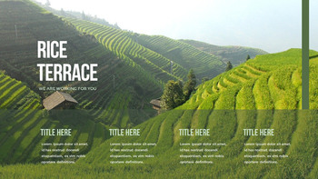 Rice Terrace power point powerpoint|Business|Templates
