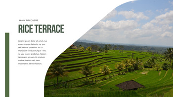 Rice Terrace power point powerpoint|Business|Templates
