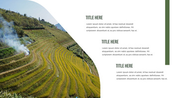 Rice Terrace power point powerpoint|Business|Templates
