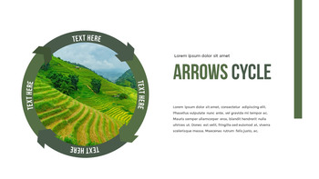 Rice Terrace power point powerpoint|Business|Templates