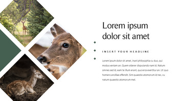deer profile template