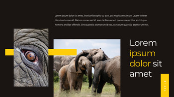 elephant powerpoint