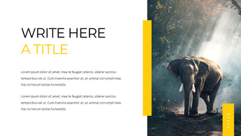 Elephant powerpoint presentation download|Lifestyle|Templates