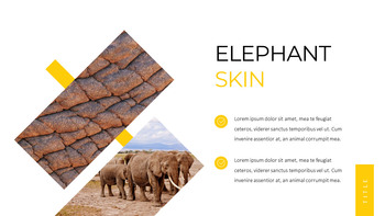Elephant powerpoint presentation download|Lifestyle|Templates