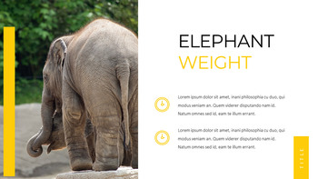 Elephant powerpoint presentation download|Lifestyle|Templates