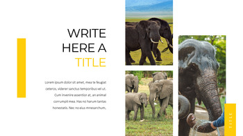 Elephant powerpoint presentation download|Lifestyle|Templates