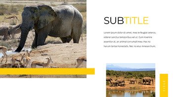 Elephant powerpoint presentation download|Lifestyle|Templates