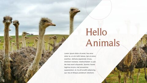 Animaux de safari diapositives de présentation ppt|Mode de vie|Modèles