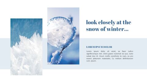 Neige de l'hiver Arrière-plan PowerPoint|Mode de vie|Modèles