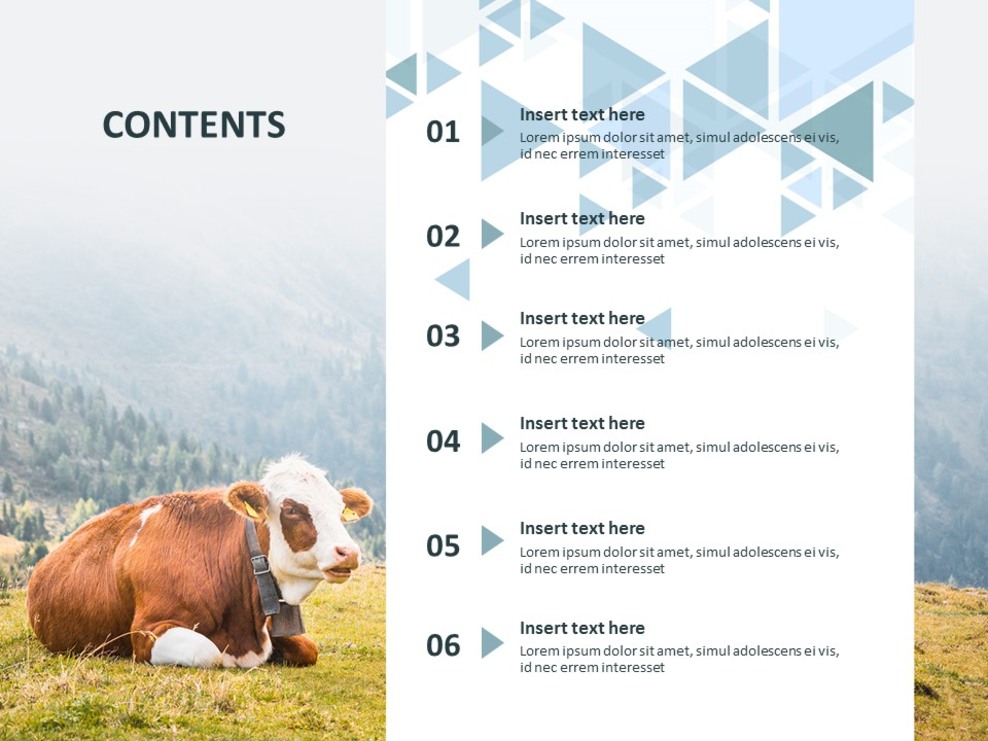 Bulls in the Field - Free Presentation Templates