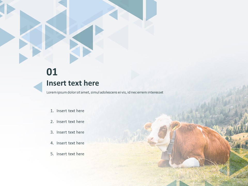 Bulls in the Field - Free Presentation Templates