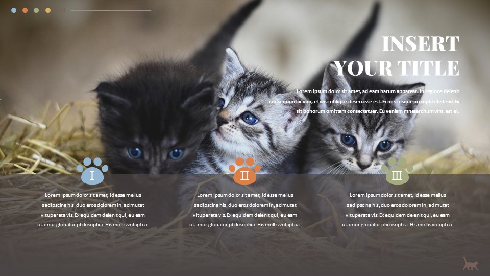 Cat Google Slides Templates for Your Next Presentation