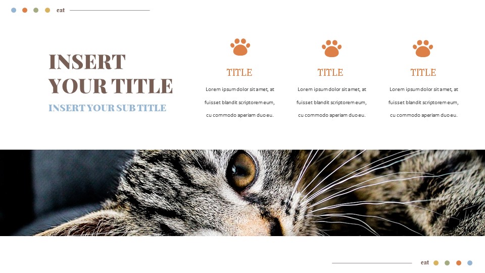Cat Google Slides Templates for Your Next Presentation