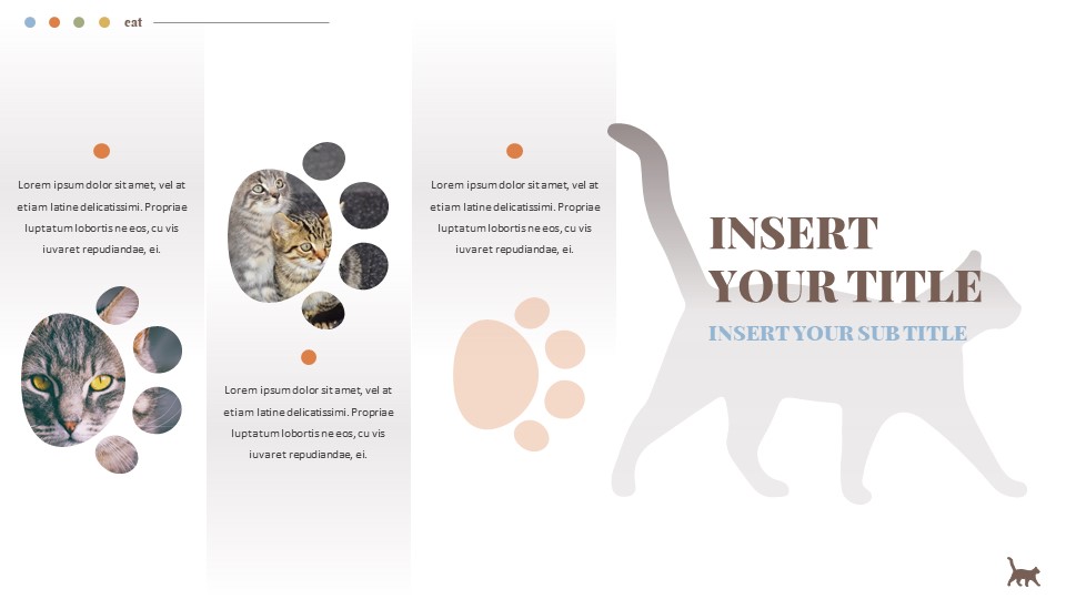 Cat Google Slides Templates for Your Next Presentation