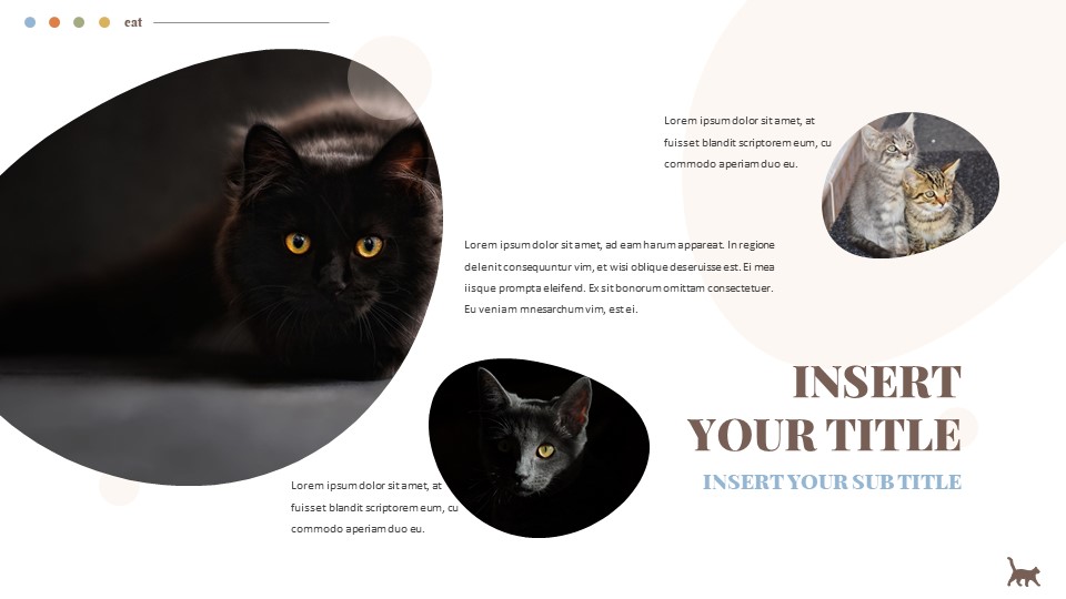 Cat Google Slides Templates for Your Next Presentation