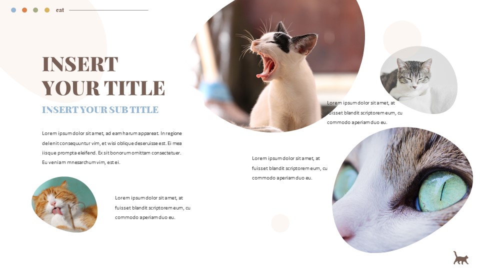 Cat Google Slides Templates for Your Next Presentation