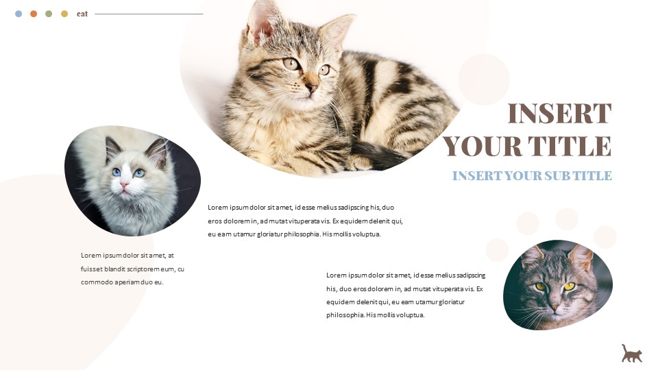 Cat Google Slides Templates for Your Next Presentation